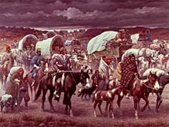 TAMMY'S HISTORY BLOG: The Effects of the Indian Removal Act