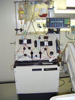 Myeloma Journey: Stem cell collection and mandatory class