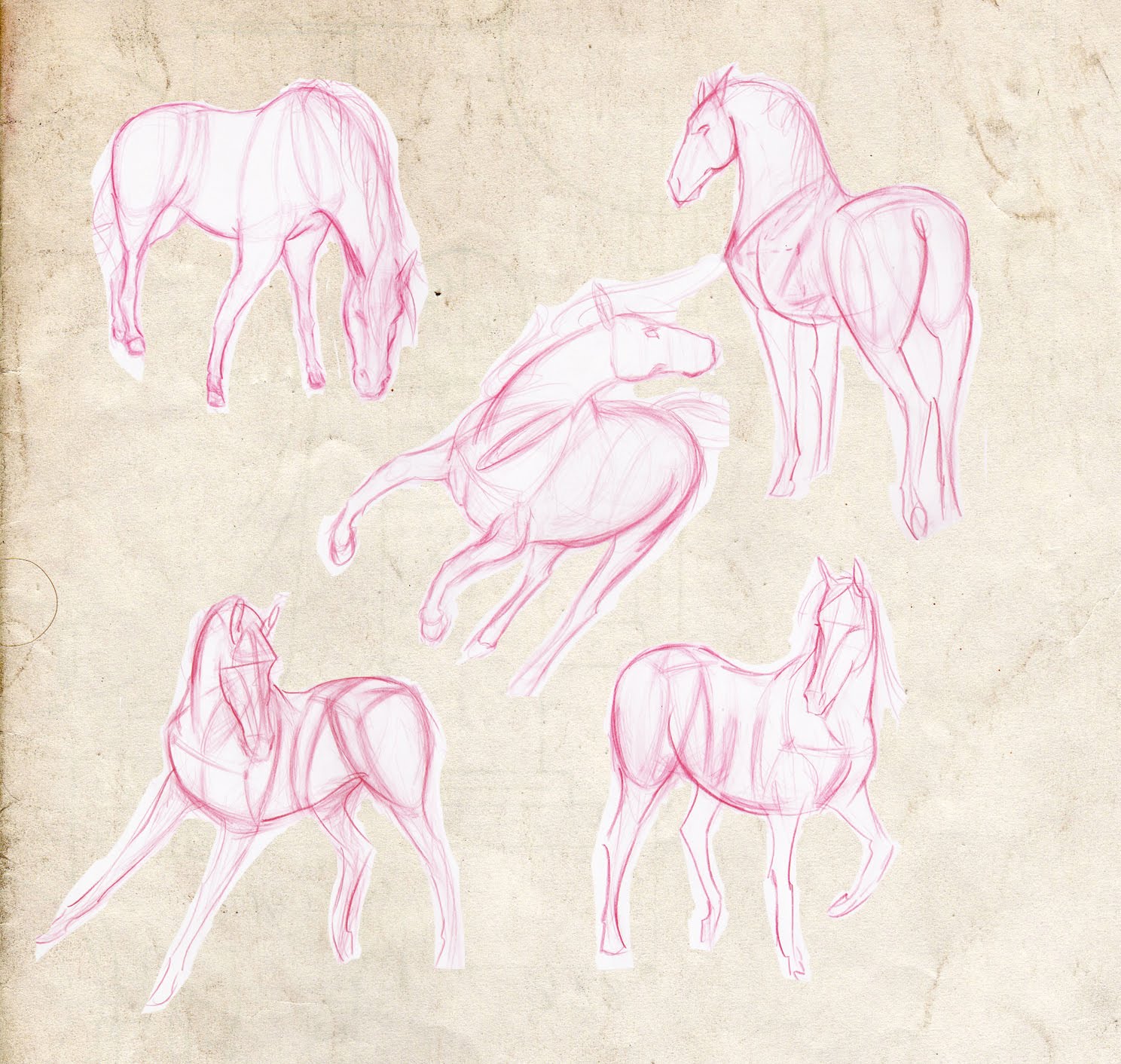 Caballos bocetos - Imagui
