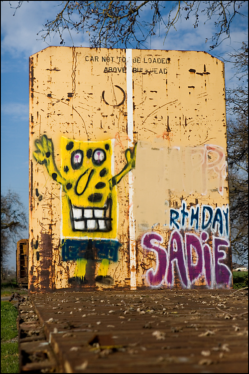 LaRae Photography: Country Graffiti