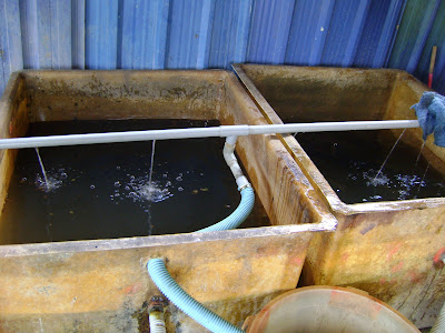 FAMAN ENTERPRISE: SEPAT BENUA