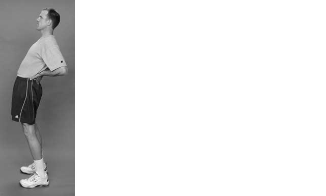 Women's Exercise Tips: Exercise For Backbone Pain