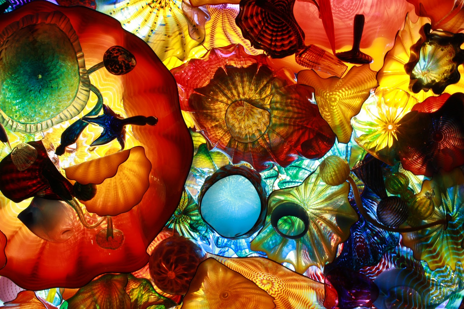 Extraordinareality: Dale Chihuly Blown Glass @ Franklin Park Conservatory