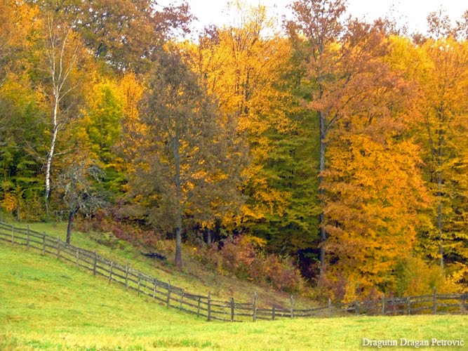 Fotografije Srbije - fotografije, slike, gradovi, jezera, reke, planine ...