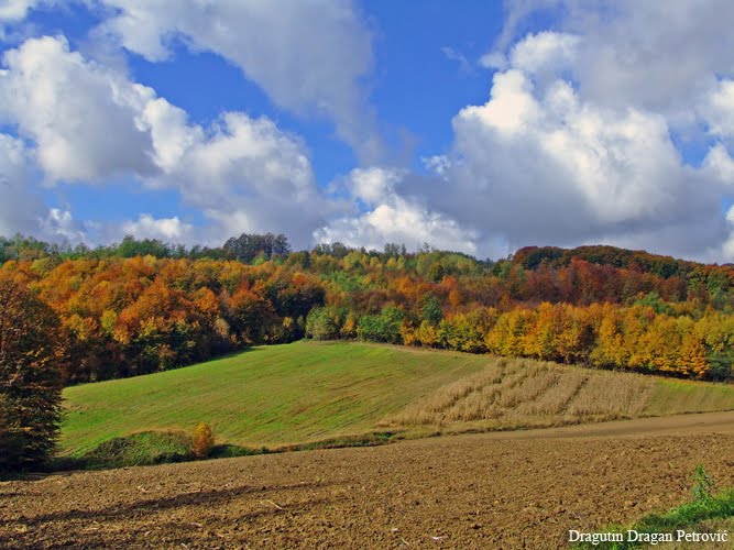 Fotografije Srbije - fotografije, slike, gradovi, jezera, reke, planine ...