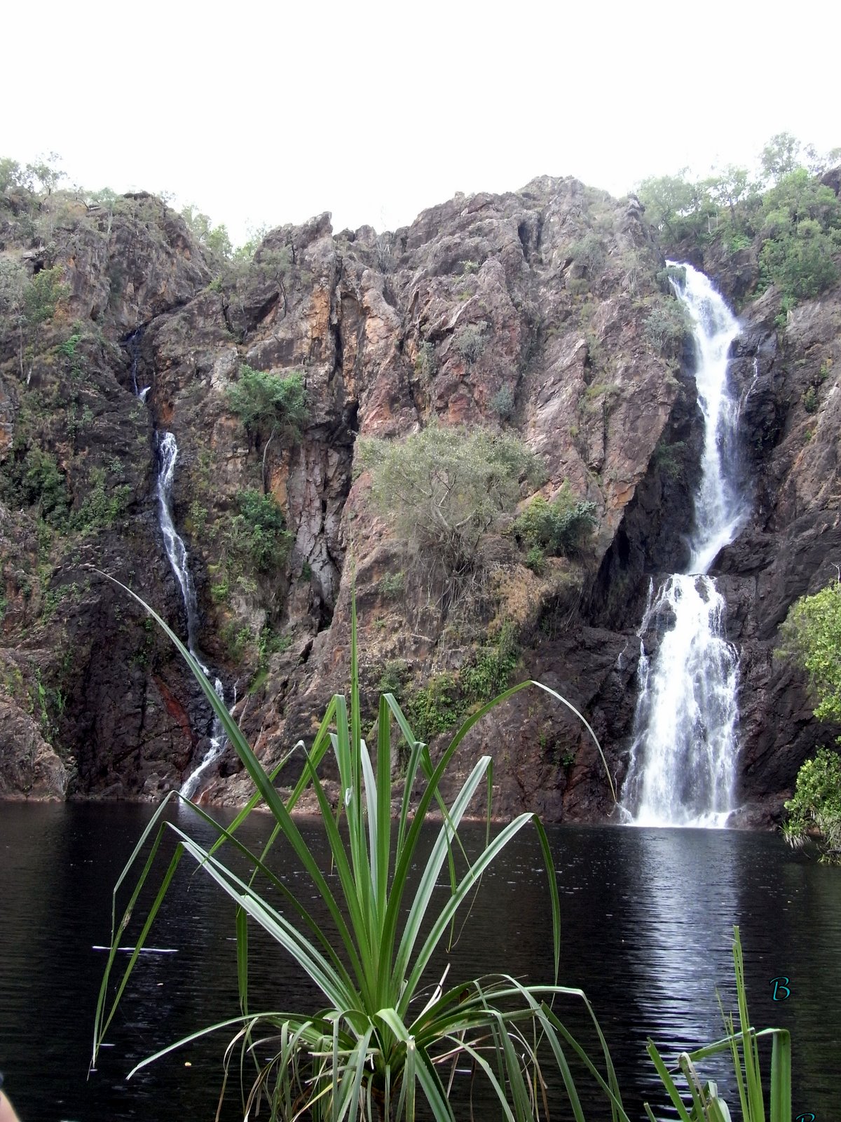BejoPics: Day 8 : Renner Springs to Darwin (Litchfield NP 02)