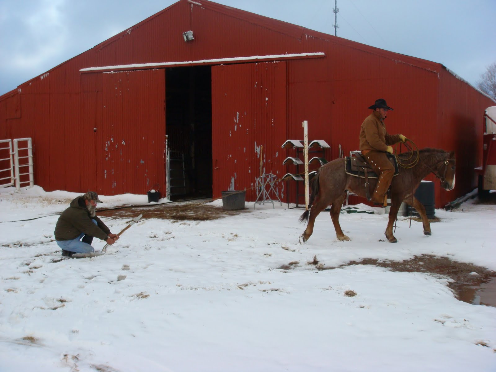 Teryn Muench Performance Horses