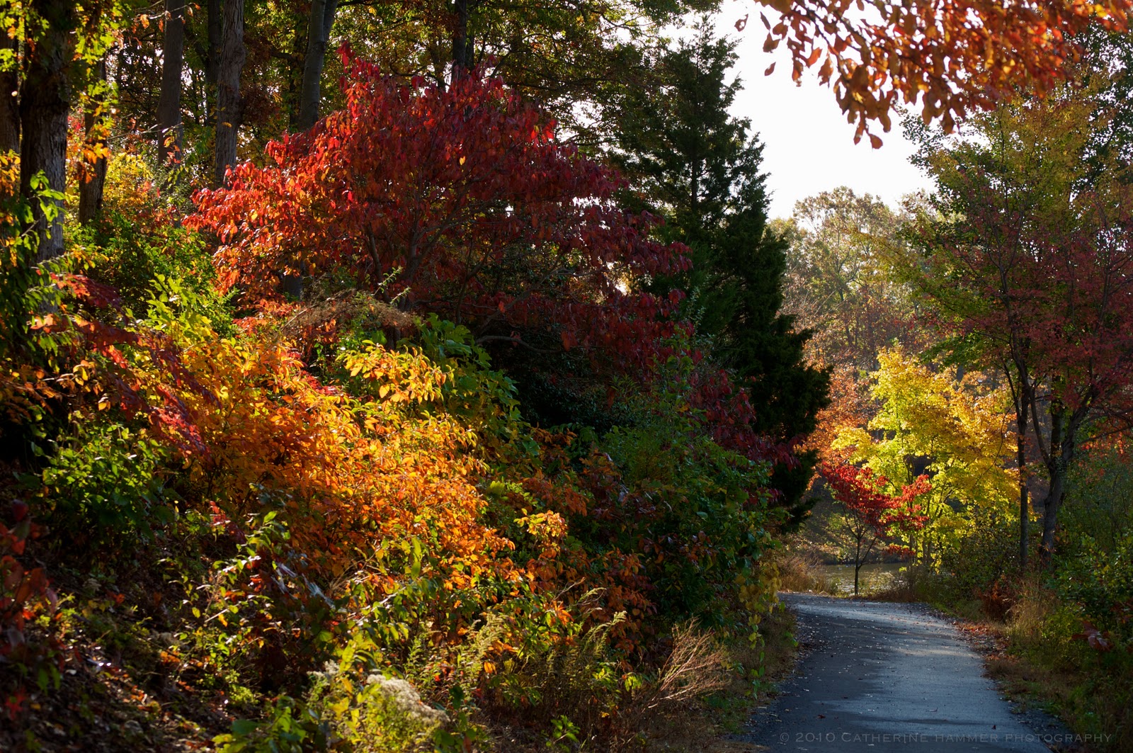 Catherine Hammer Photography: Lake Audubon, Reston, VA