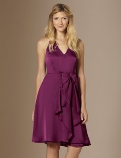 Barbizon Biz: ICE Model Susan Coble for The Limited