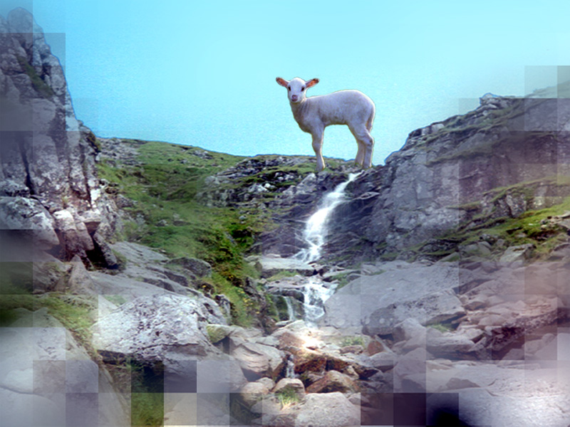 Craig Finnestad: The Parable of the Lost Sheep