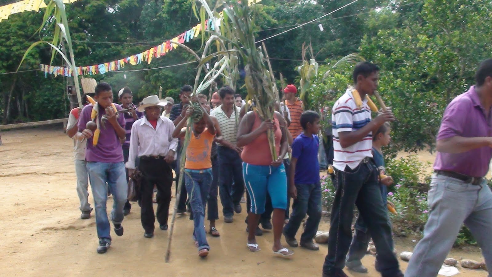LA DANZA DE LAS TURAS DE VENEZUELA: LA DANZA DE LAS TURAS EN VENZUELA