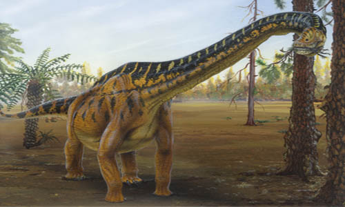 Rare Resources: What was the biggest, smallest and smartest dinosaur?