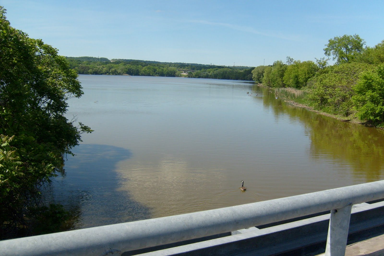 Wilma's blog: Princess Point 2010