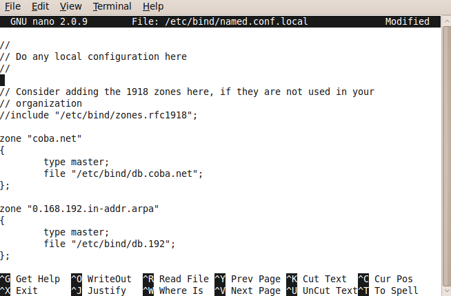 Linux: Tutorial Konfigurasi Server DNS Ubuntu 9.10