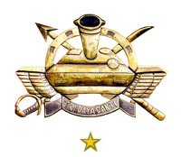 tentang kemiliteran indonesia: batalyon kavaleri