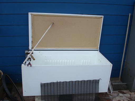 Life Without Anchovies