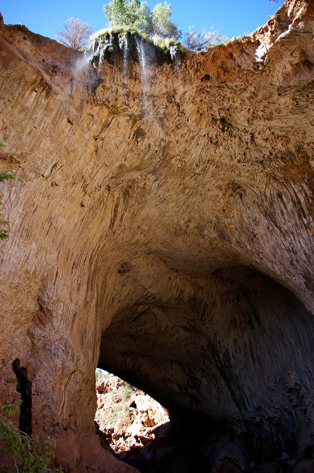 Arizona Gronseth Report: Tonto Natural Bridge State Park (day 1)