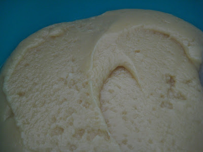 From Scratch: ::Peach Kuchen Bars::