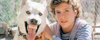 Mike's Movie Reviews: White Dog (1982)