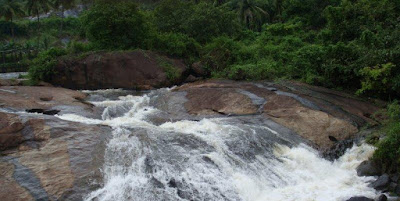 Peechi dam and it's surroundings.
