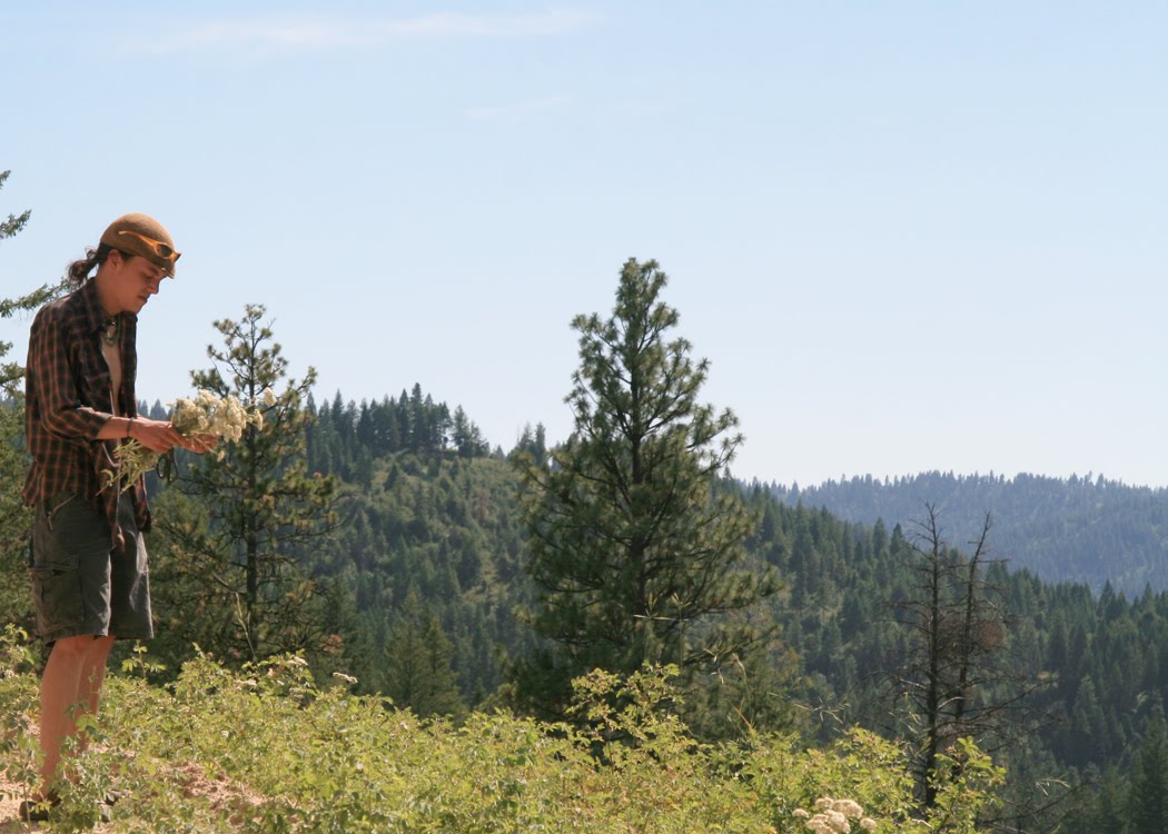 your apples are my oranges: jaybear and shmemily ride again: the ghost ...