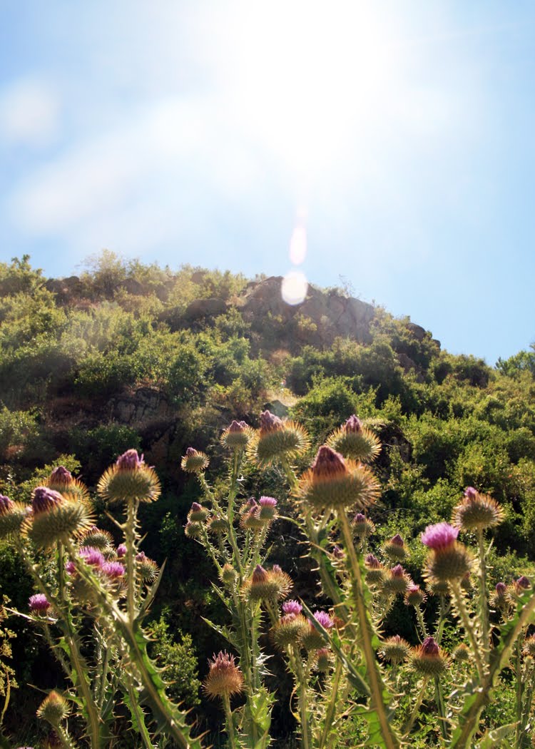 your apples are my oranges: jaybear and shmemily ride again: the ghost ...