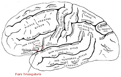 Science, Natural Phenomena & Medicine: July 2009
