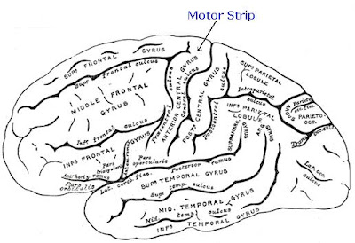 Science, Natural Phenomena & Medicine: June 2009