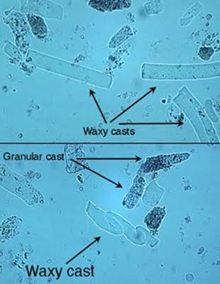 Science, Natural Phenomena & Medicine: December 2009