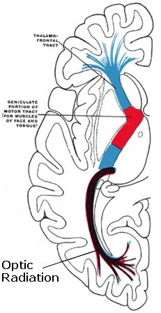 Science, Natural Phenomena & Medicine: December 2010