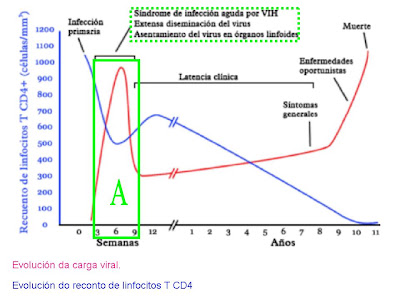 VIH ≠ SIDA: Sintomatoloxía e evolución: SIDA
