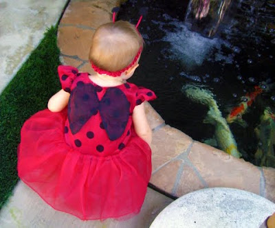 {ditzie cakes}: LAINEY BUGS 1ST BIRTHDAY!