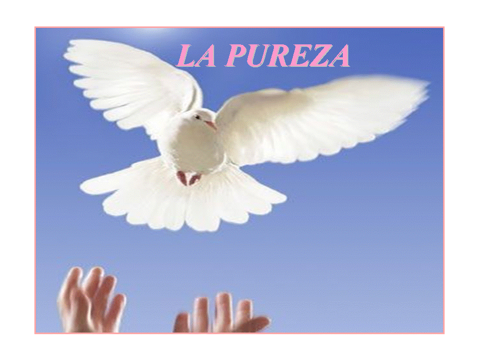 LiteraVic: mayo 2010