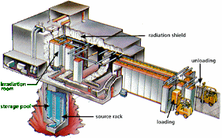 Desarrollo y Defensa: La irradiación, ¿es segura para el consumo de ...