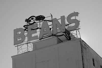 Photographs and Grumbles: Jack Rabbit Beans