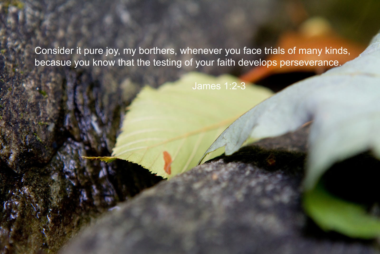 Wilson Imaging: James 1:2-3