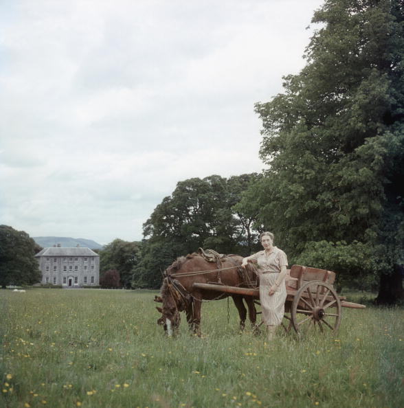 Comocimo Elizabeth Bowen County Cork Ireland