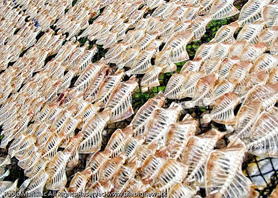 TheBigNews: Bantayan Island: blessings of light ( Buhay Buwad ) - Life ...