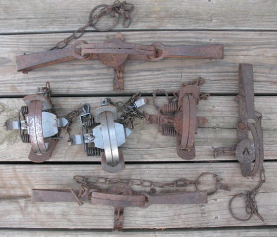 Sensible Survival: Survival Trapping - Store Bought Traps