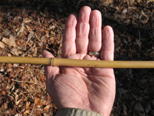 Sensible Survival: A Quickie River-Cane Arrow