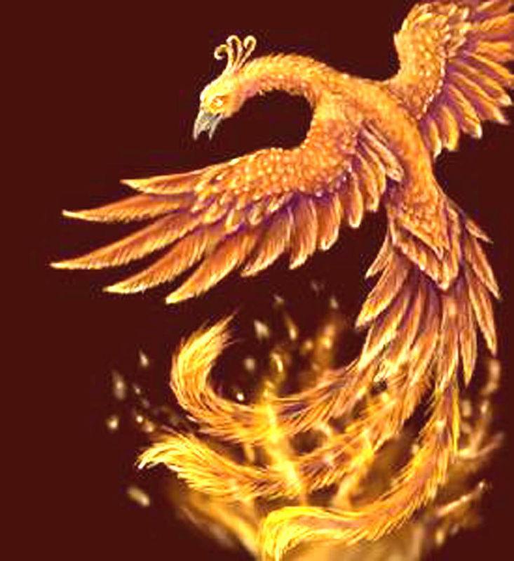 Gentdelbenlliure: El Fénix en China