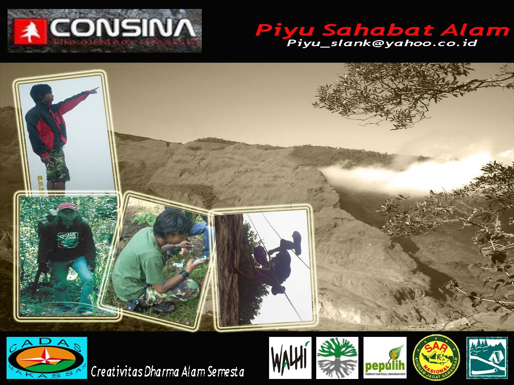 Piyu Design Original System