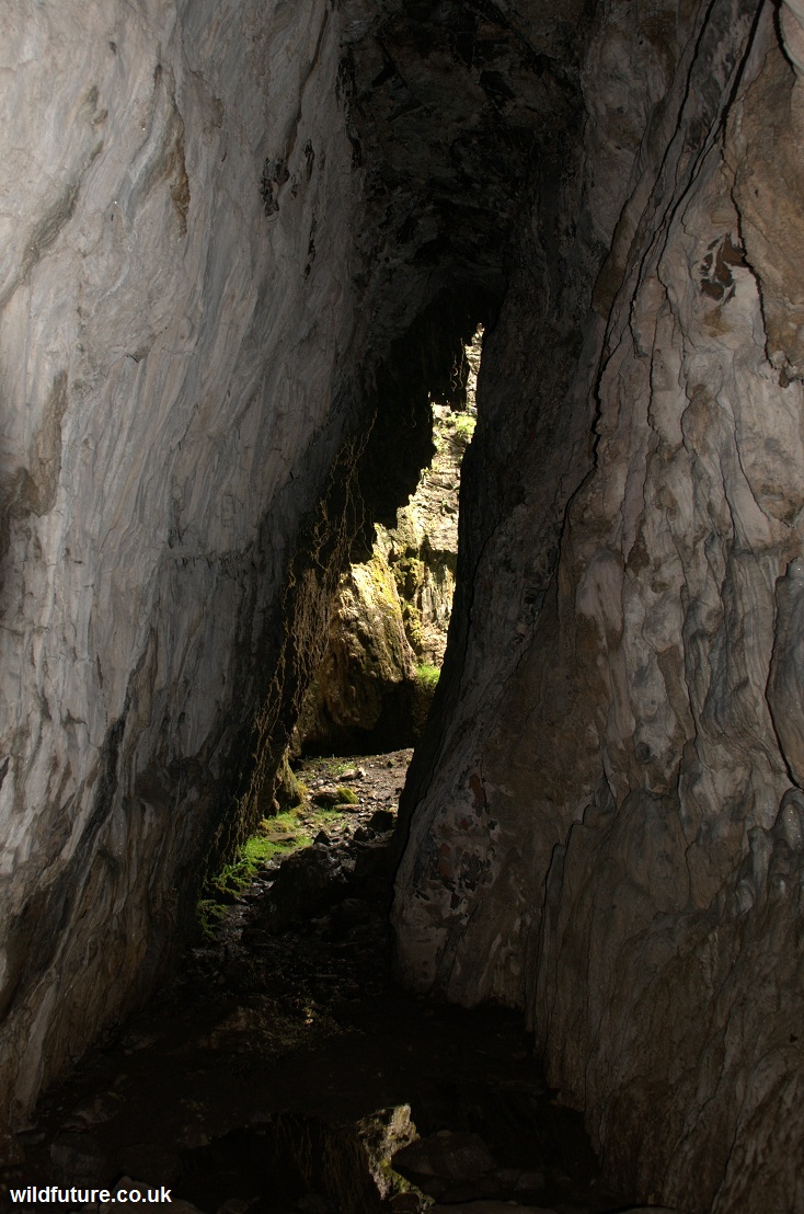 Wild Future trip reports: Isle of Skye (1): Elgol and Spar Cave, May 2010