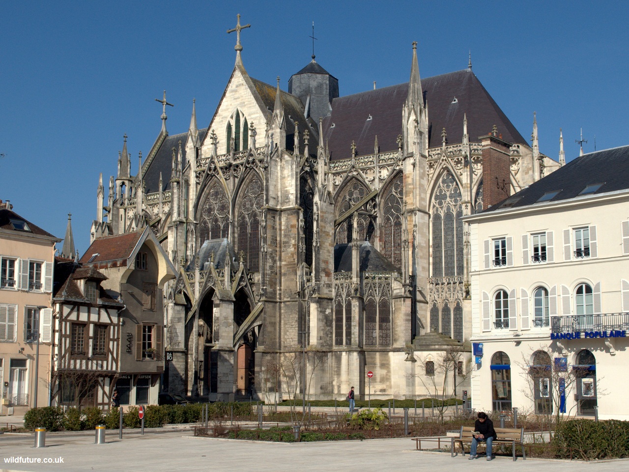 Wild Future trip reports: Cranes and Champagne, March 2010 (3): Troyes