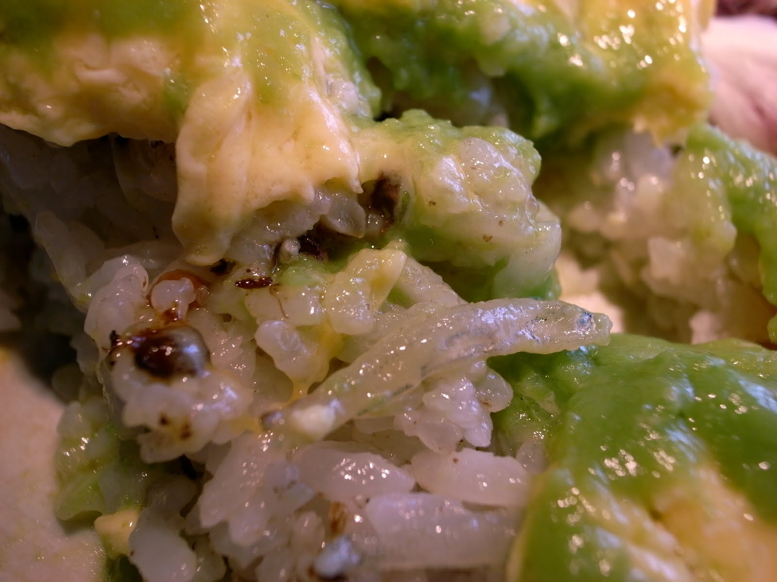 The Shimokitazawa food diaries: 7/18/10 - 7/25/10