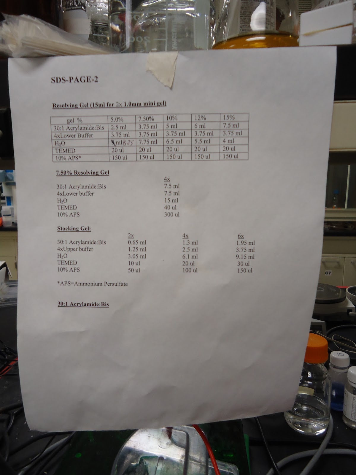 Desert Fantasy: How to do a nice Western Blot 101-Making a pre-cast gel