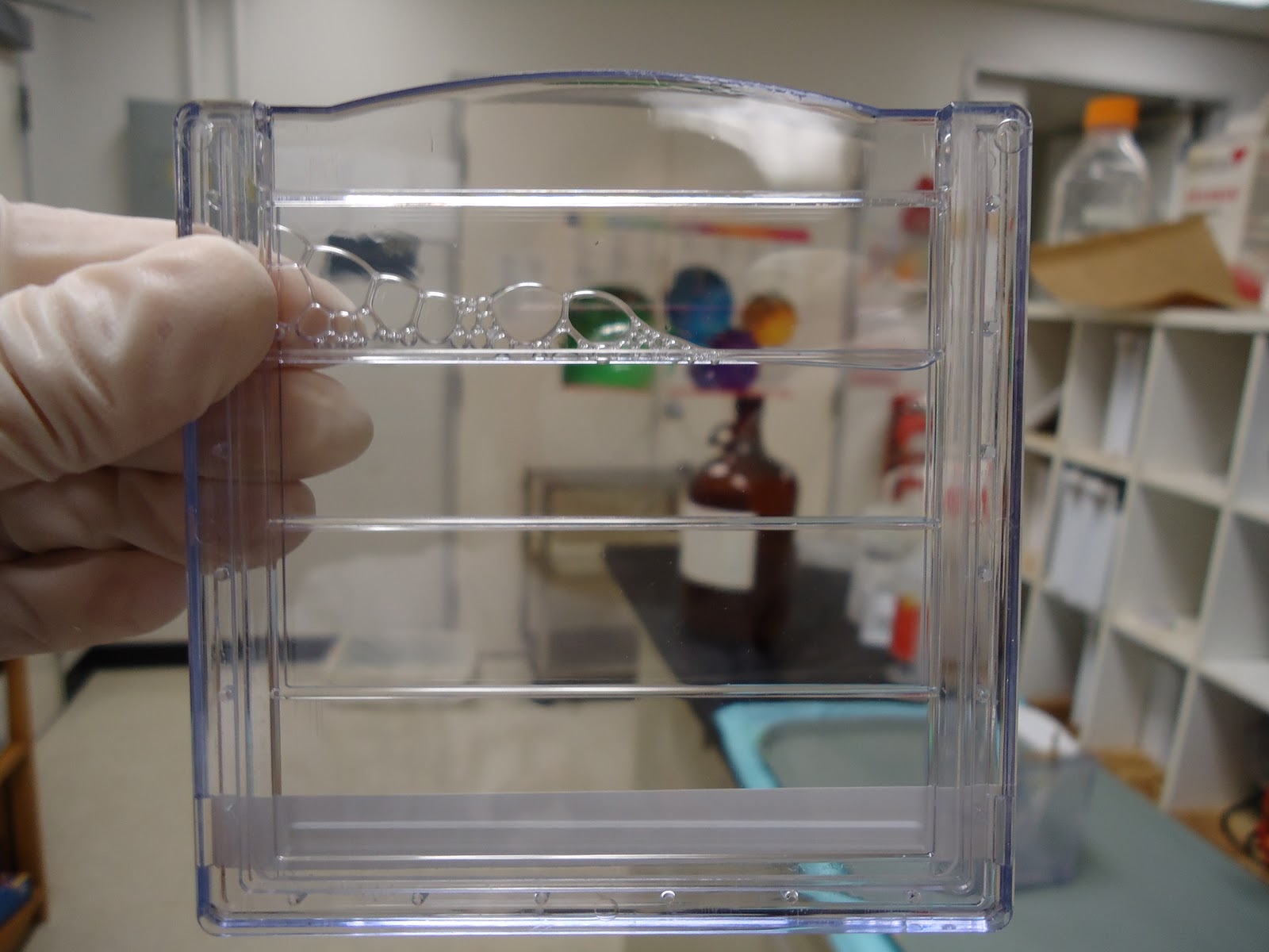 Desert Fantasy: How to do a nice Western Blot 101-Making a pre-cast gel