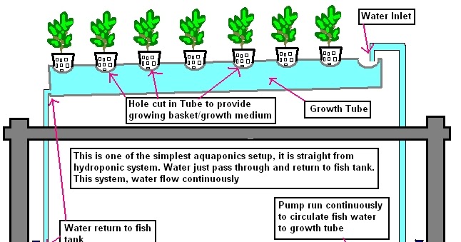 Affnan's Aquaponics: Growth Tube System - NFT