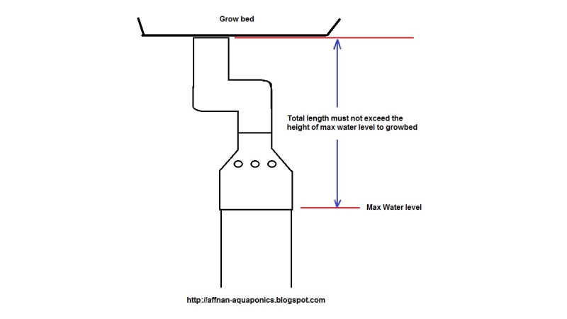 Affnan's Aquaponics: August 2010