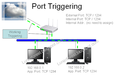 Noname, No Criteria: Tomato Port Forwarding / Port Triggering 設定